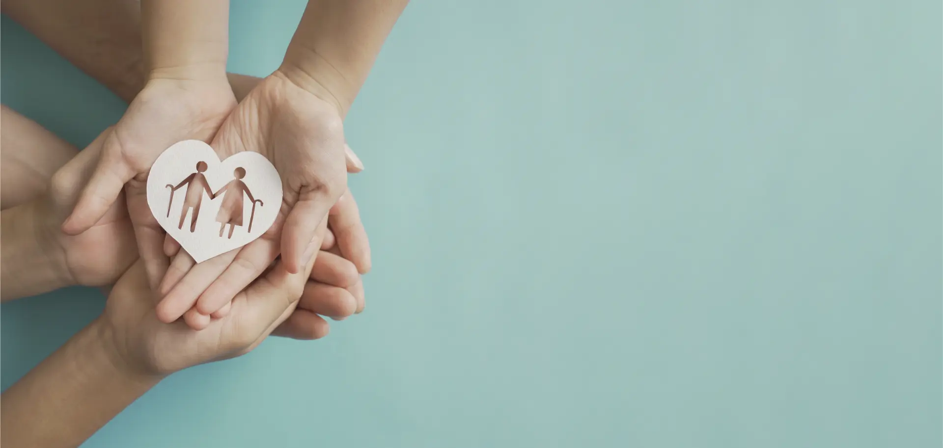 Fondation Pauliani : L'équipe