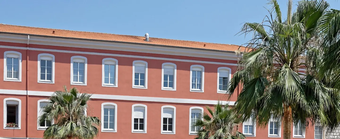 La Fondation Pauliani : Présentation